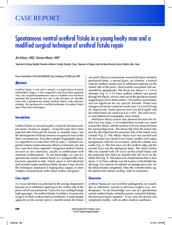 (PDF) Spontaneous ventral urethral fistula in a young healty man and a ...