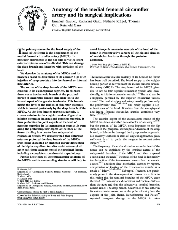 (PDF) Anatomy of the medial femoral circumflex artery and its surgical ...