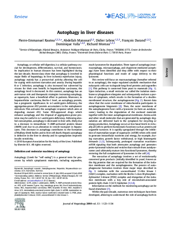 (PDF) Autophagy in liver diseases