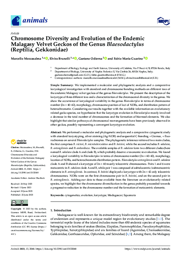 (PDF) Chromosome Diversity and Evolution of the Endemic Malagasy Velvet ...