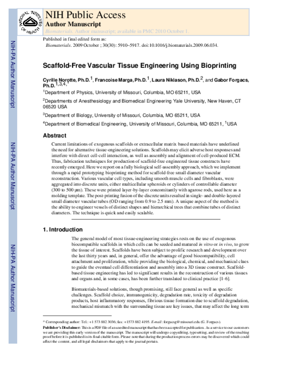 (PDF) Scaffold-free vascular tissue engineering using bioprinting