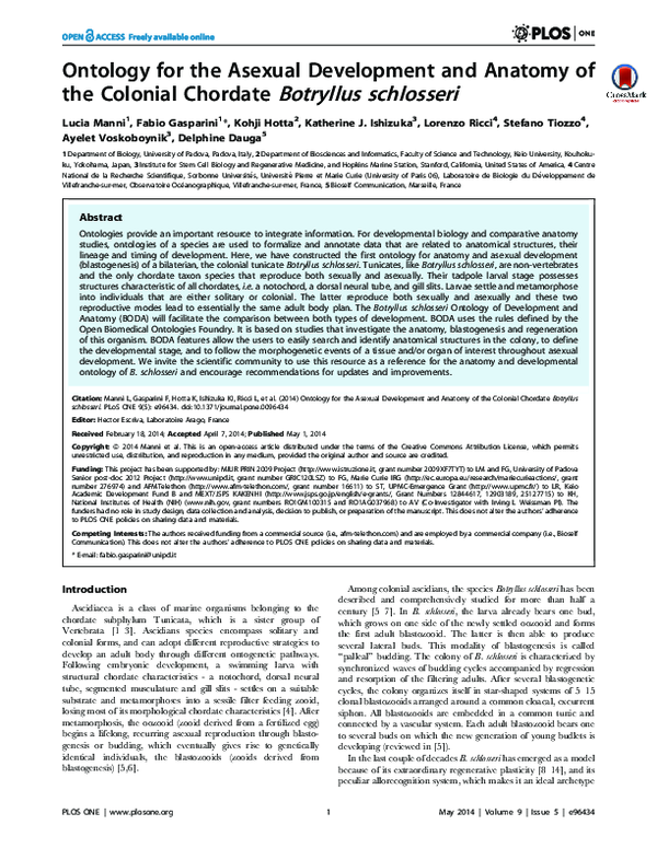 (PDF) Ontology for the Asexual Development and Anatomy of the Colonial ...