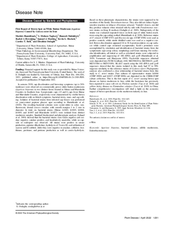 (PDF) First Report of Brown Spot on White Button Mushroom (Agaricus ...