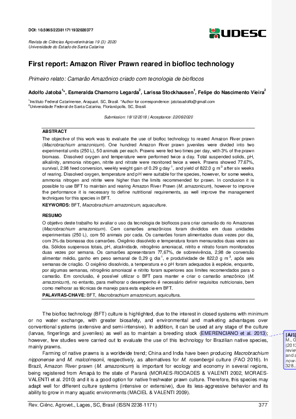 (PDF) First report: Amazon River Prawn reared in biofloc technology