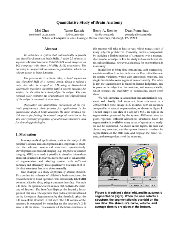(PDF) Quantitative study of brain anatomy