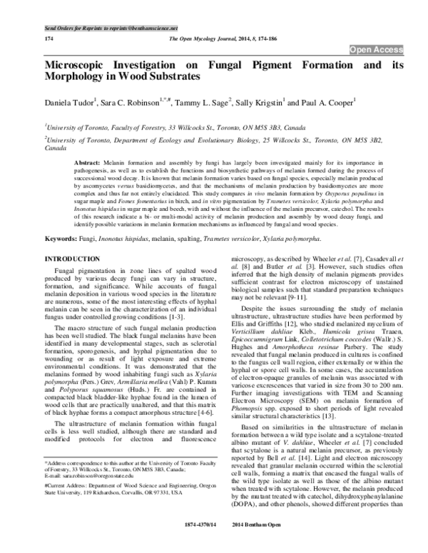 (PDF) Microscopic Investigation on Fungal Pigment Formation and its ...