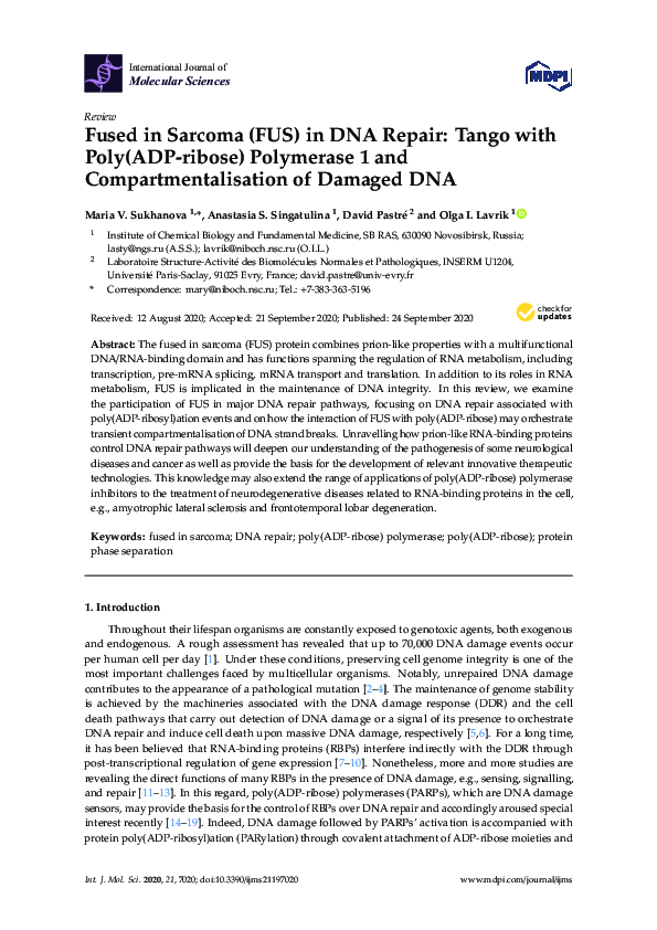(PDF) Fused in Sarcoma (FUS) in DNA Repair: Tango with Poly(ADP-ribose ...