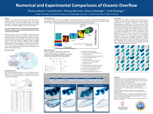 (PDF) Determining Suction Feeding Efficiency in the Bowfin fish (Amia ...