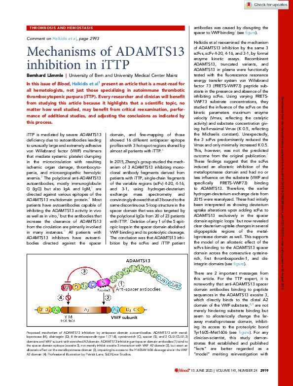 (PDF) Mechanisms of ADAMTS13 inhibition in iTTP