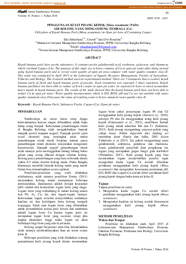 (PDF) PENGGUNAAN KULIT PISANG KEPOK (Musa acuminate) PADA AIR KOLONG ...