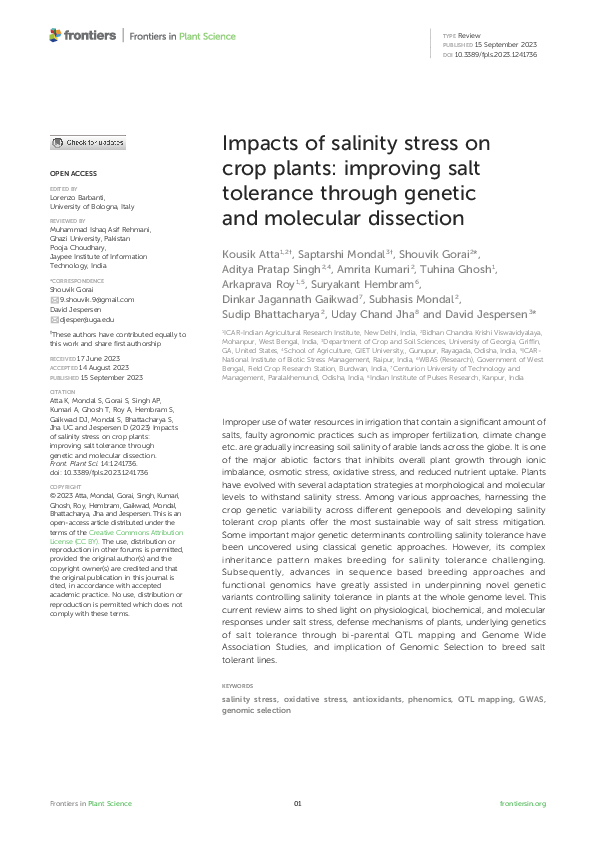 (PDF) Impacts of salinity stress on crop plants: improving salt ...