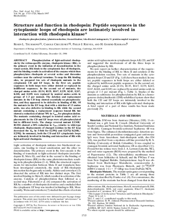 (PDF) Structure and function in rhodopsin: Peptide sequences in the ...