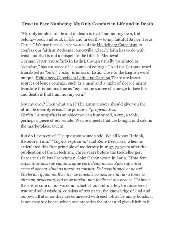 (PDF) Trost to Face Nonbeing: My Only Comfort in Life and in Death