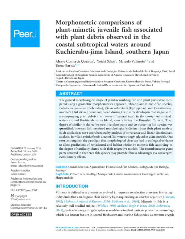 (PDF) Morphometric comparisons of plant-mimetic juvenile fish ...