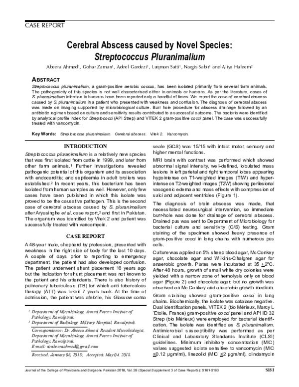 (PDF) Cerebral Abscess Caused By Novel Species: Streptococcus Pluranimalium
