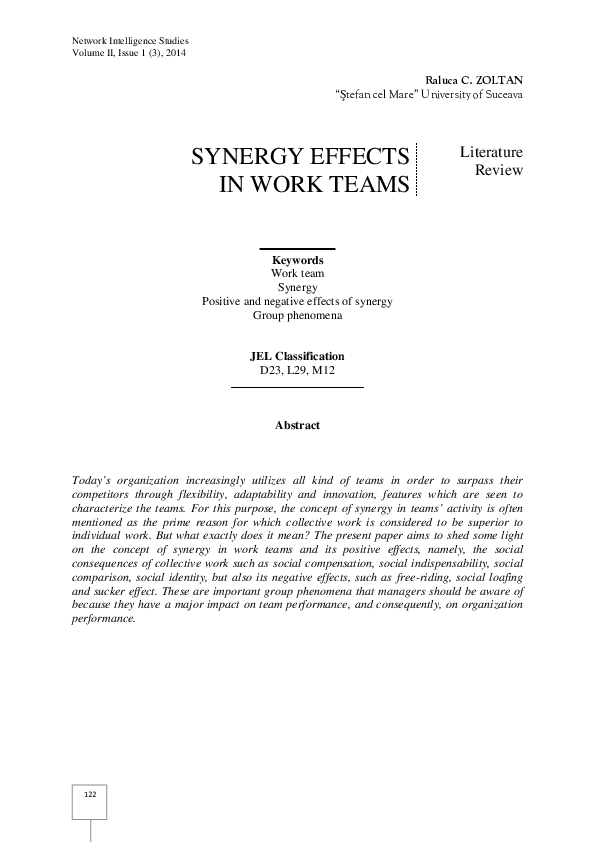 (PDF) SYNERGY EFFECTS IN WORK TEAMS Literature Review
