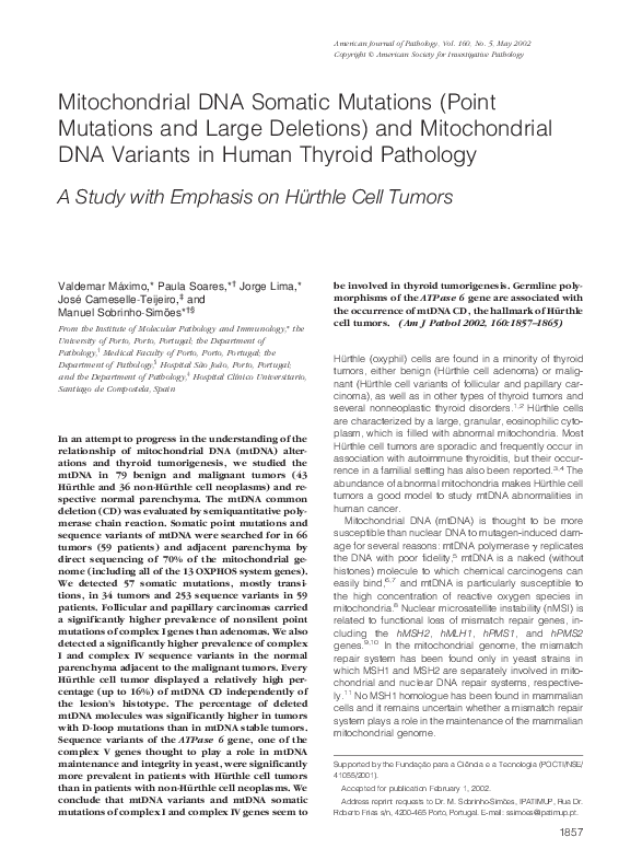 (PDF) Mitochondrial DNA Somatic Mutations (Point Mutations and Large ...