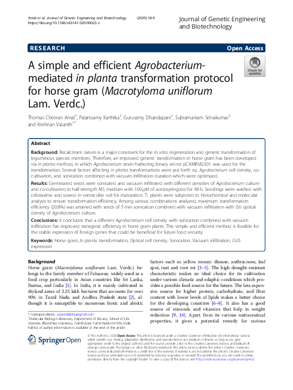 (PDF) A simple and efficient Agrobacterium-mediated in planta ...