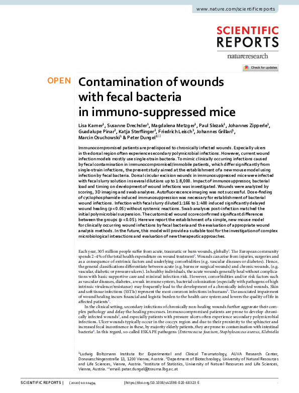 (PDF) Contamination of wounds with fecal bacteria in immuno-suppressed mice