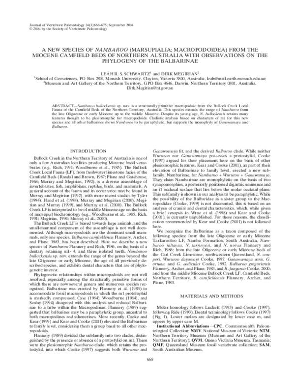 (PDF) A New Species of Nambaroo (Marsupialia; Macropodoidea) From the ...