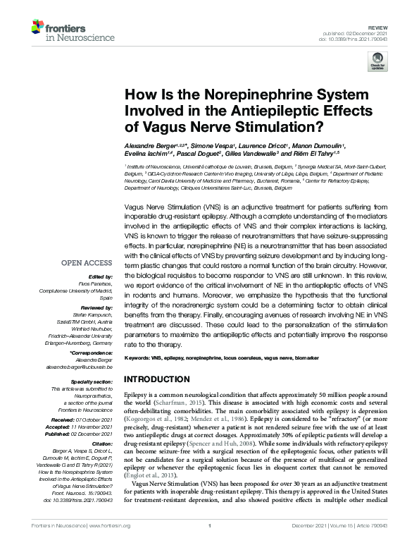 (PDF) How Is the Norepinephrine System Involved in the Antiepileptic ...