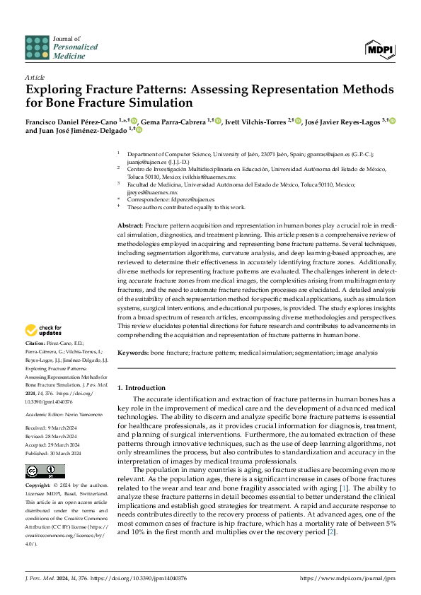 (PDF) Exploring Fracture Patterns: Assessing Representation Methods for ...