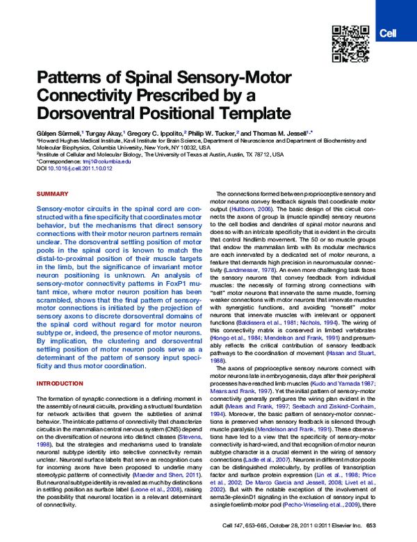 (PDF) Patterns of Spinal Sensory-Motor Connectivity Prescribed by a ...