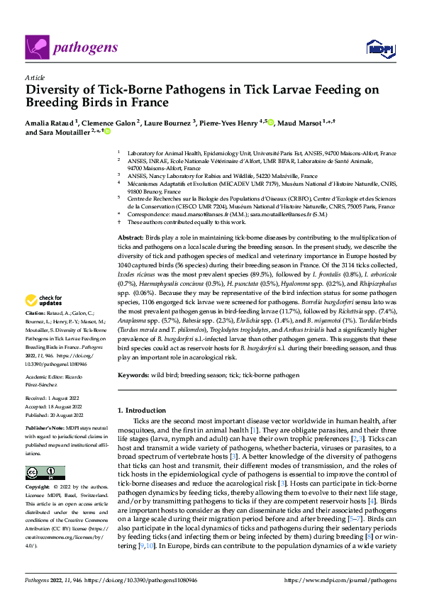 (PDF) Diversity of Tick-Borne Pathogens in Tick Larvae Feeding on ...