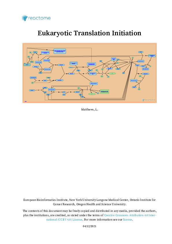 (PDF) Eukaryotic Translation Initiation