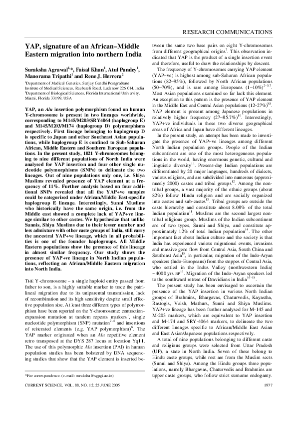 (PDF) YAP, Signature of An African-Middle Eastern Migration Into ...
