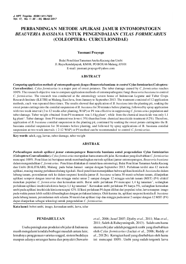 (PDF) Perbandingan Metode Aplikasi Jamur Entomopatogen Beauveria ...