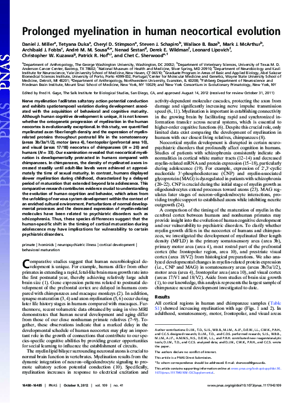 (PDF) Prolonged myelination in human neocortical evolution