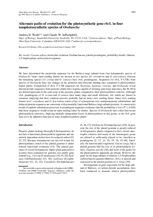 (PDF) Alternate paths of evolution for the photosynthetic gene rbcL in ...
