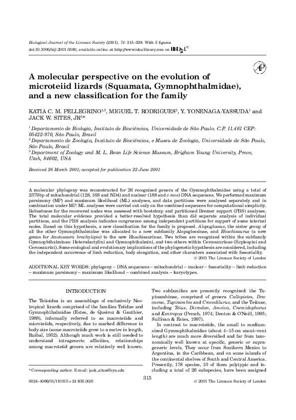 (PDF) A molecular perspective on the evolution of microteiid lizards ...