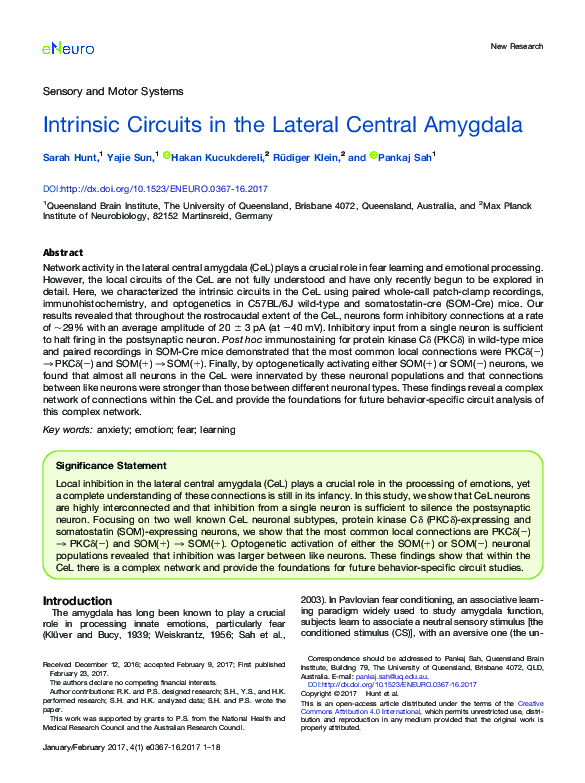 (PDF) Intrinsic Circuits in the Lateral Central Amygdala
