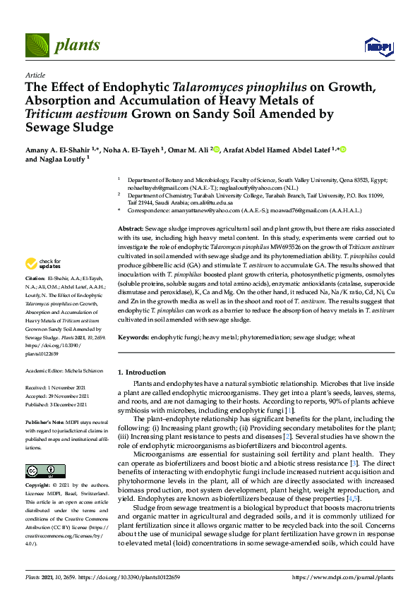 (PDF) The Effect of Endophytic Talaromyces pinophilus on Growth ...