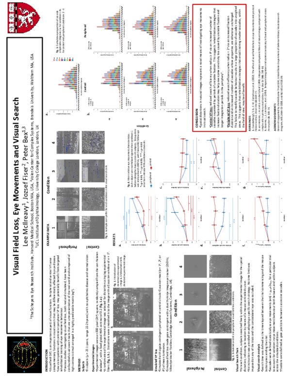(PDF) Visual field loss, eye movements and visual search