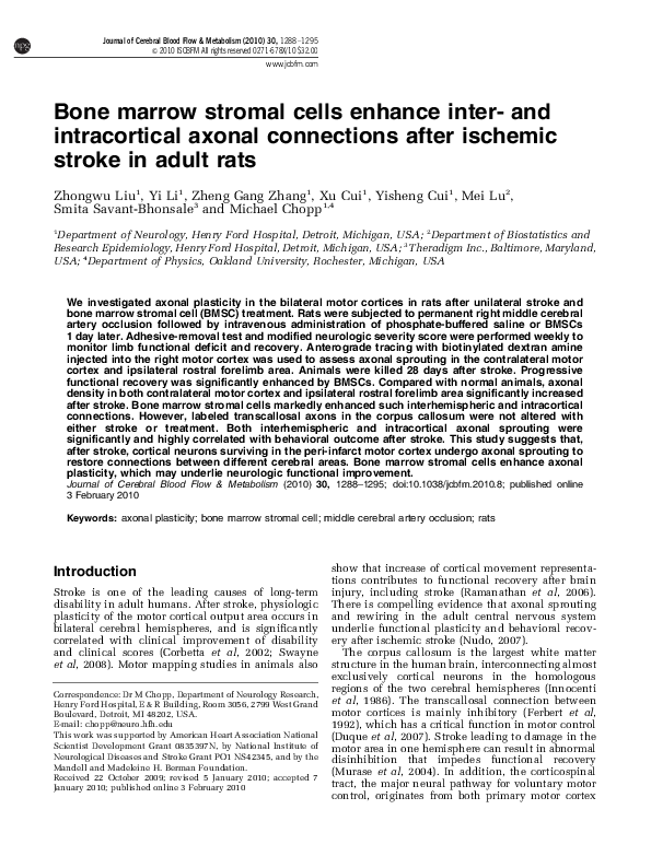 (PDF) Bone Marrow Stromal Cells Enhance Inter- and Intracortical Axonal ...