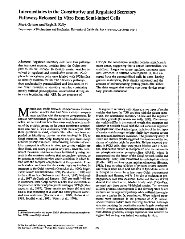 (PDF) Intermediates in the constitutive and regulated secretory ...