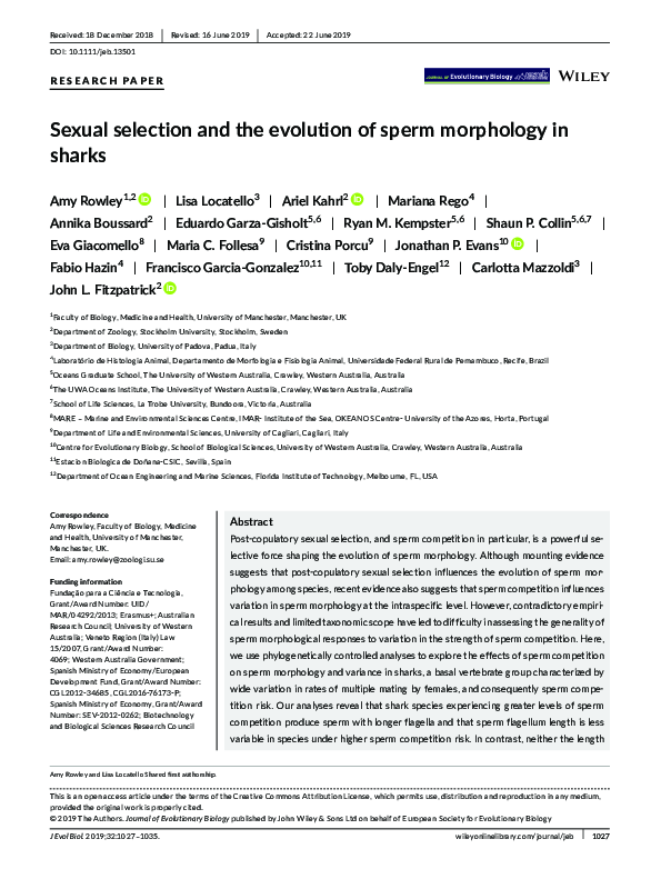 (PDF) Sexual selection and the evolution of sperm morphology in sharks
