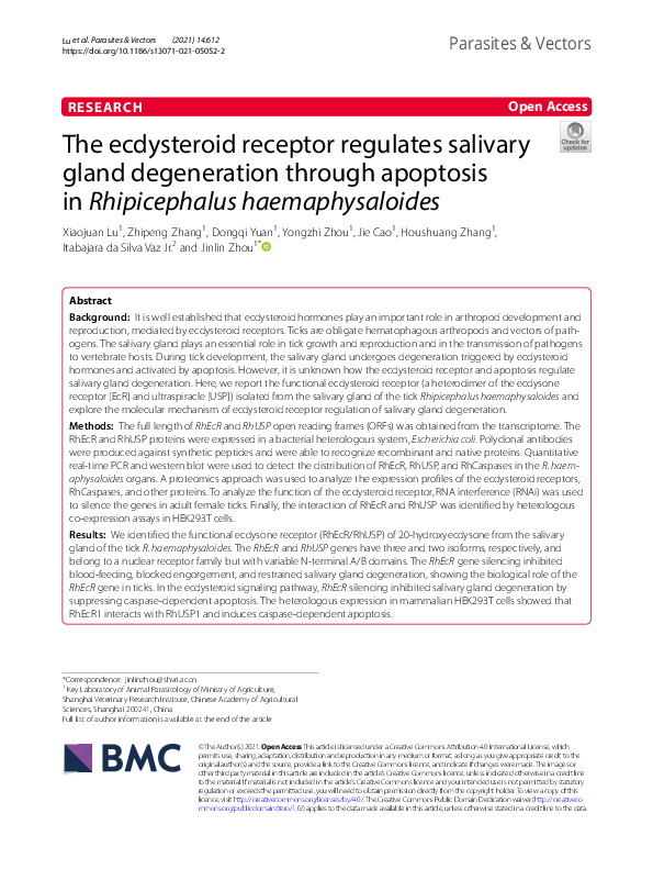 (PDF) The ecdysteroid receptor regulates salivary gland degeneration ...