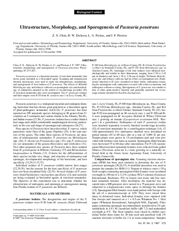 (PDF) Ultrastructure, Morphology, and Sporogenesis of Pasteuria penetrans