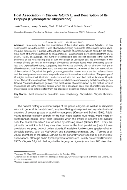 (PDF) Host Association in Chrysis fulgida L. and Description of Its ...