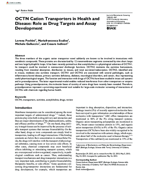 (PDF) OCTN Cation Transporters in Health and Disease: Role as Drug ...