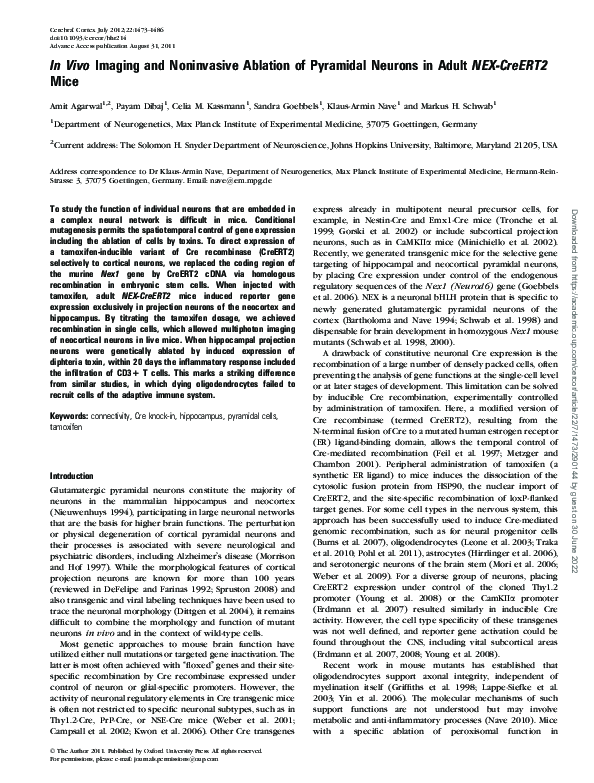 (PDF) In Vivo Imaging and Noninvasive Ablation of Pyramidal Neurons in ...