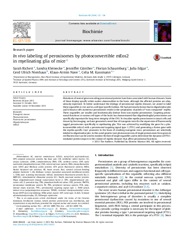 (PDF) In vivo labeling of peroxisomes by photoconvertible mEos2 in ...