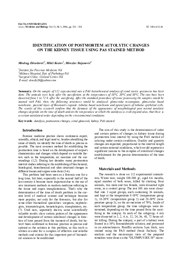 (PDF) Identification of Postmortem Autolytic Changes on the Kidney ...