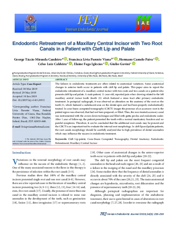 (PDF) Endodontic Retreatment of a Maxillary Central Incisor with Two Root Canals in a Patient ...