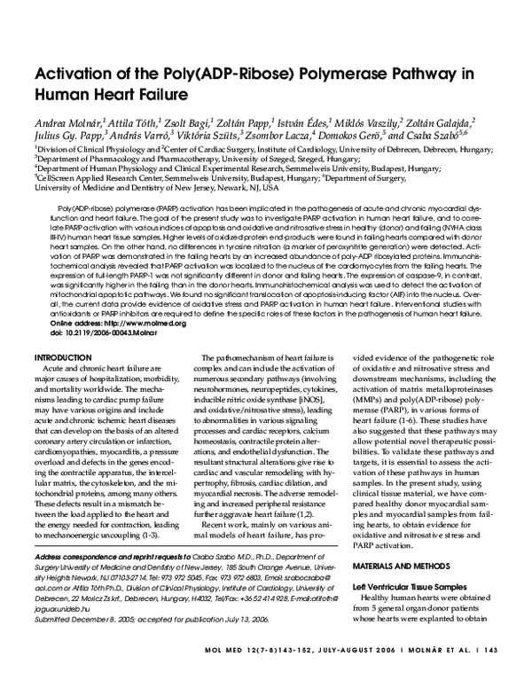 (PDF) Activation of the poly(ADP-ribose) polymerase pathway in human ...