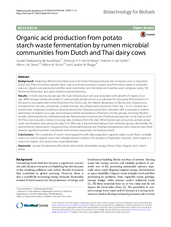 (PDF) Organic acid production from potato starch waste fermentation by ...
